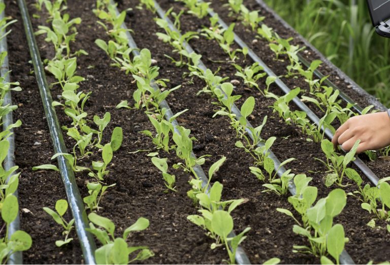 Thabit PC Dripline - PC emitter - Alwasail Products